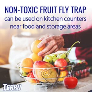 Terro T2503-3 Fruit Fly Trap