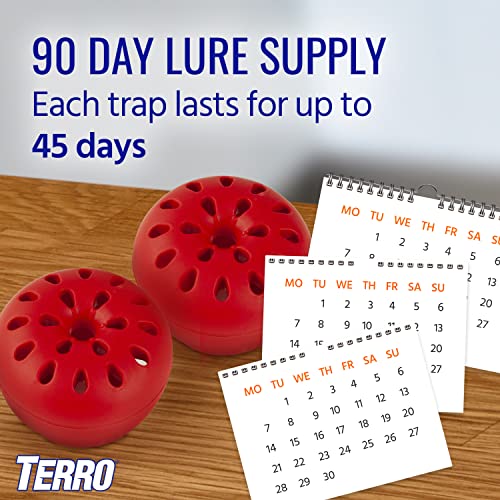 Terro T2503-3 Fruit Fly Trap