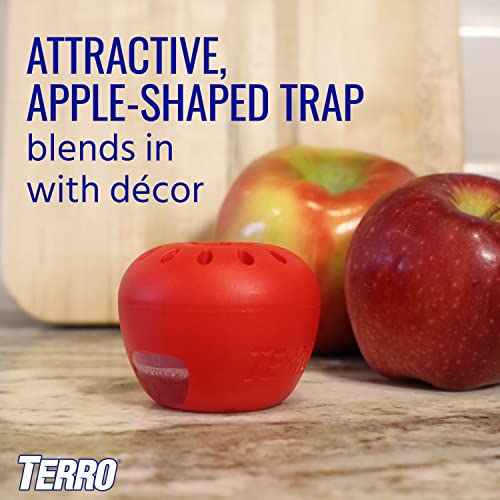 Terro T2503-3 Fruit Fly Trap