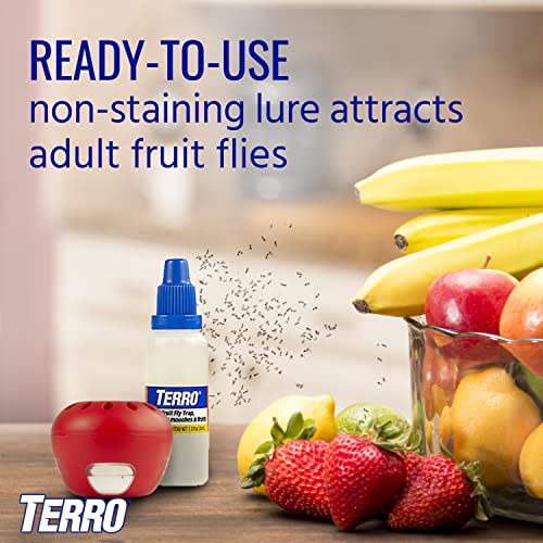 Terro T2503-3 Fruit Fly Trap