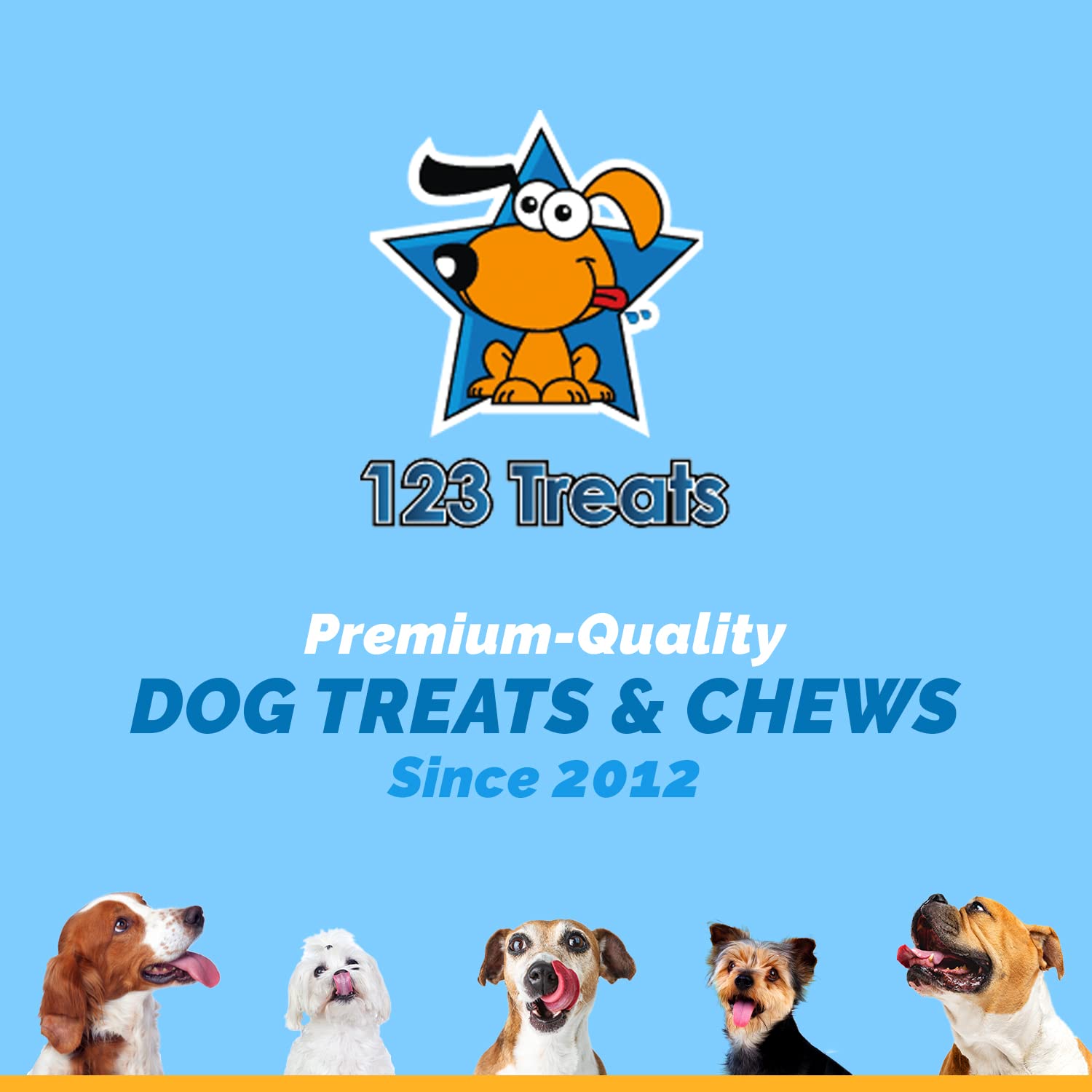 123 Treats - Dog Bone Knee Caps - 100% Natural & Long Lasting Beef Chews Beef Chew Treats for Pets - Ideal for Small to Large Dogs (30 Count - Made in USA)