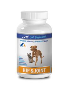 pet supplements hip and joint for dogs soft chews - hip and joint - health and support - for dogs and cats - dog glucosamine sulfate - 1 bottle (120 chews)