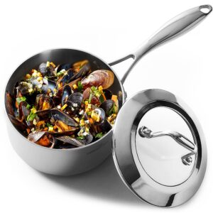 homi chef mirror polished nickel free stainless steel 1.75 qt(quart) sauce pan with glass lid (no toxic non stick coating, whole-clad 3-ply) soup pot small cooking pot