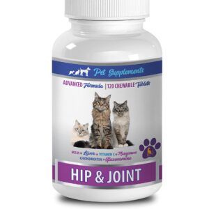 cat Bone Supplement - Hip and Joint - for Cats - Health and Care - CHEWABLE - glucosamine chondroitin cat Treats - 1 Bottle (120 Chews)