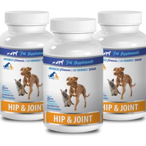 Dog Joint Supplement Chews - Hip and Joint - Health and Support - for Dogs and Cats - chondroitin for Dogs - 3 Bottle (360 Chews)