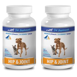 pet Joint Support for Dogs - Hip and Joint - Health and Support - for Dogs and Cats - pet glucosamine Chews - 2 Bottle (240 Chews)