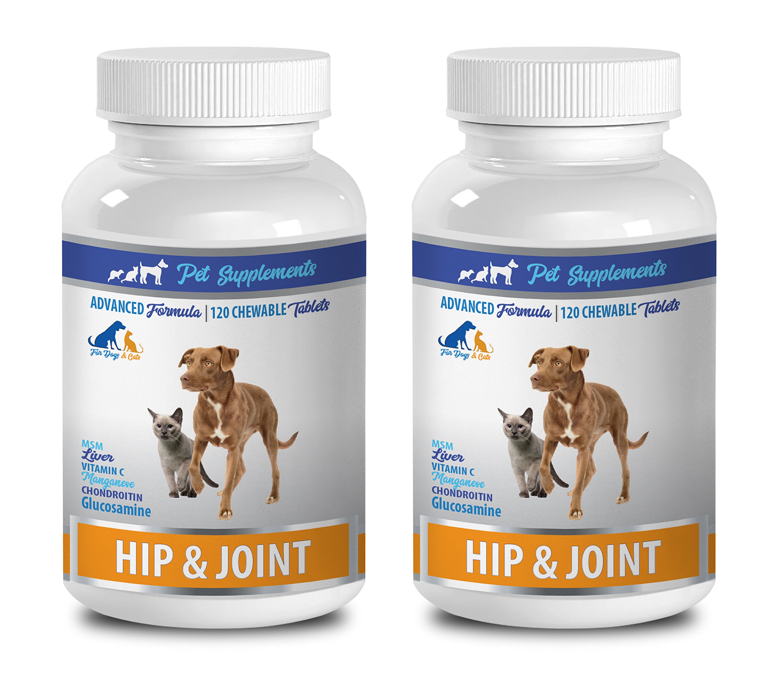 pet Joint Support for Dogs - Hip and Joint - Health and Support - for Dogs and Cats - pet glucosamine Chews - 2 Bottle (240 Chews)