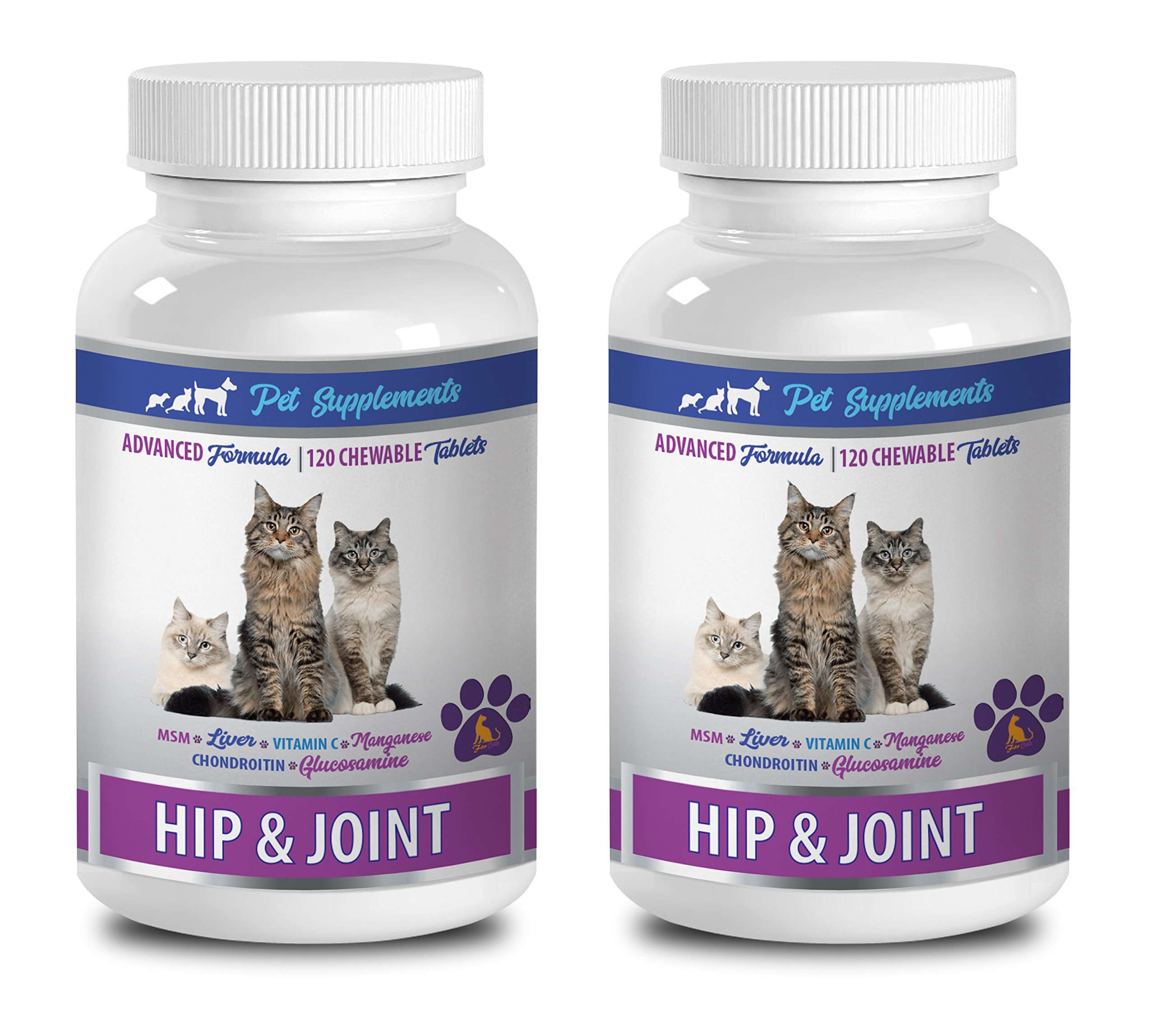 Pet Supplements Calcium for Cats - Hip and Joint - for Cats - Health and Care - CHEWABLE - glucosamine for Cats - 2 Bottle (240 Chews)