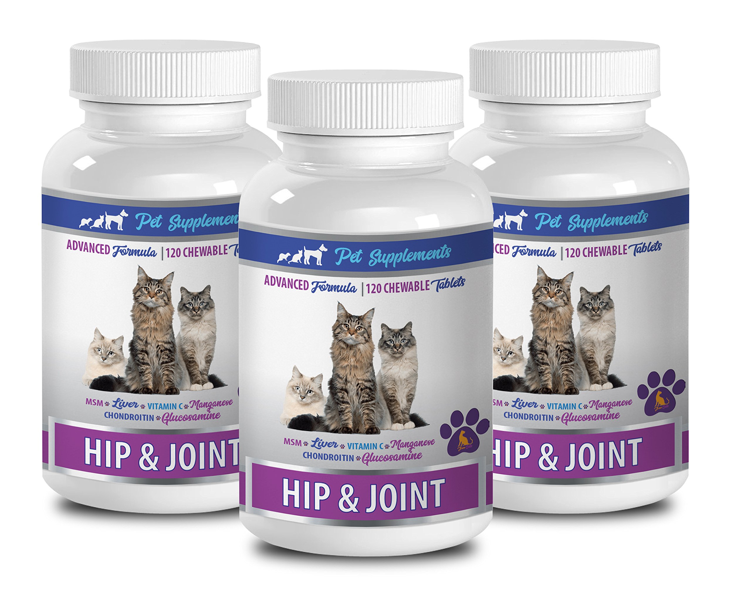 cat Immune System Support - Hip and Joint - for Cats - Health and Care - CHEWABLE - cat Joint Supplements - 3 Bottle (360 Chews)