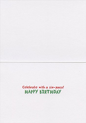 Alpacas with Red Cups Avanti Funny Birthday Card