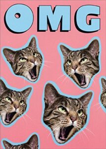 omg cat pop up avanti stand out funny birthday card