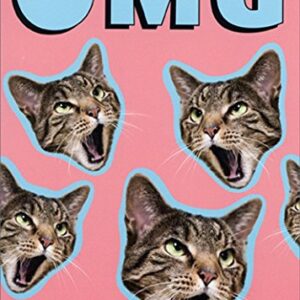 OMG Cat Pop Up Avanti Stand Out Funny Birthday Card