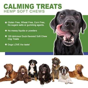 DakPets Hemp Calming Treats for Dogs - Made in USA w/Hemp Oil - Dog Anxiety Relief - Natural Separation Aid - Stress Relief - Fireworks - Storms - Barking 120 Soft Chews