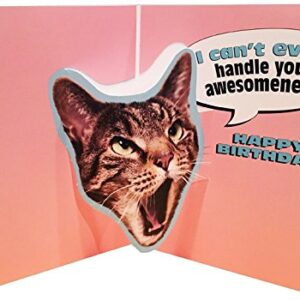 OMG Cat Pop Up Avanti Stand Out Funny Birthday Card