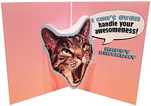 OMG Cat Pop Up Avanti Stand Out Funny Birthday Card