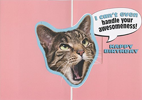 OMG Cat Pop Up Avanti Stand Out Funny Birthday Card