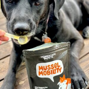 Homescape Pets Mussel Mobility - Green Lipped Mussel & Turmeric for Dogs - Hip & Joint Pain Relief Anti-Inflammatory Meal Topper Powder - Better Mobility, Less Stiffness and Aches - Vet Recommended