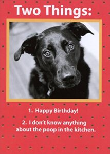 two things recycled paper greetings funny birthday card from the dog