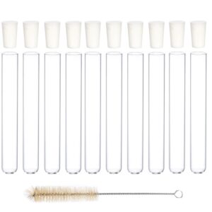 glass test tubes with rubber stoppers 150mm x 20mm pack of 10 and 1pcs brush …