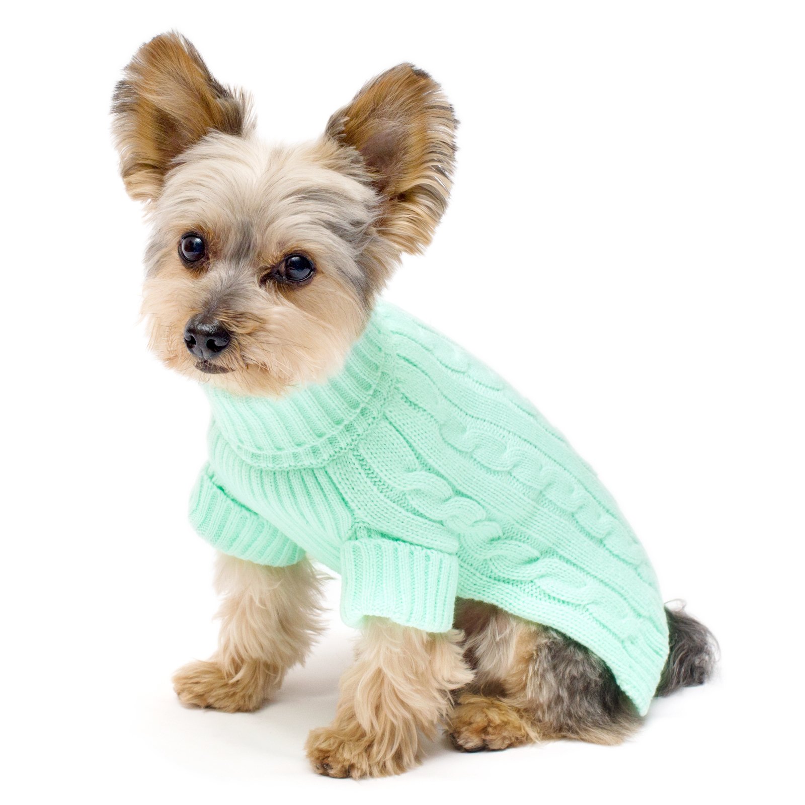 Stinky G Turtleneck Dog Sweater Mint Size #12