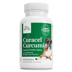 terry naturally animal health curacel curcumin - 60 softgels - optimal cellular support - canine only - 60 servings