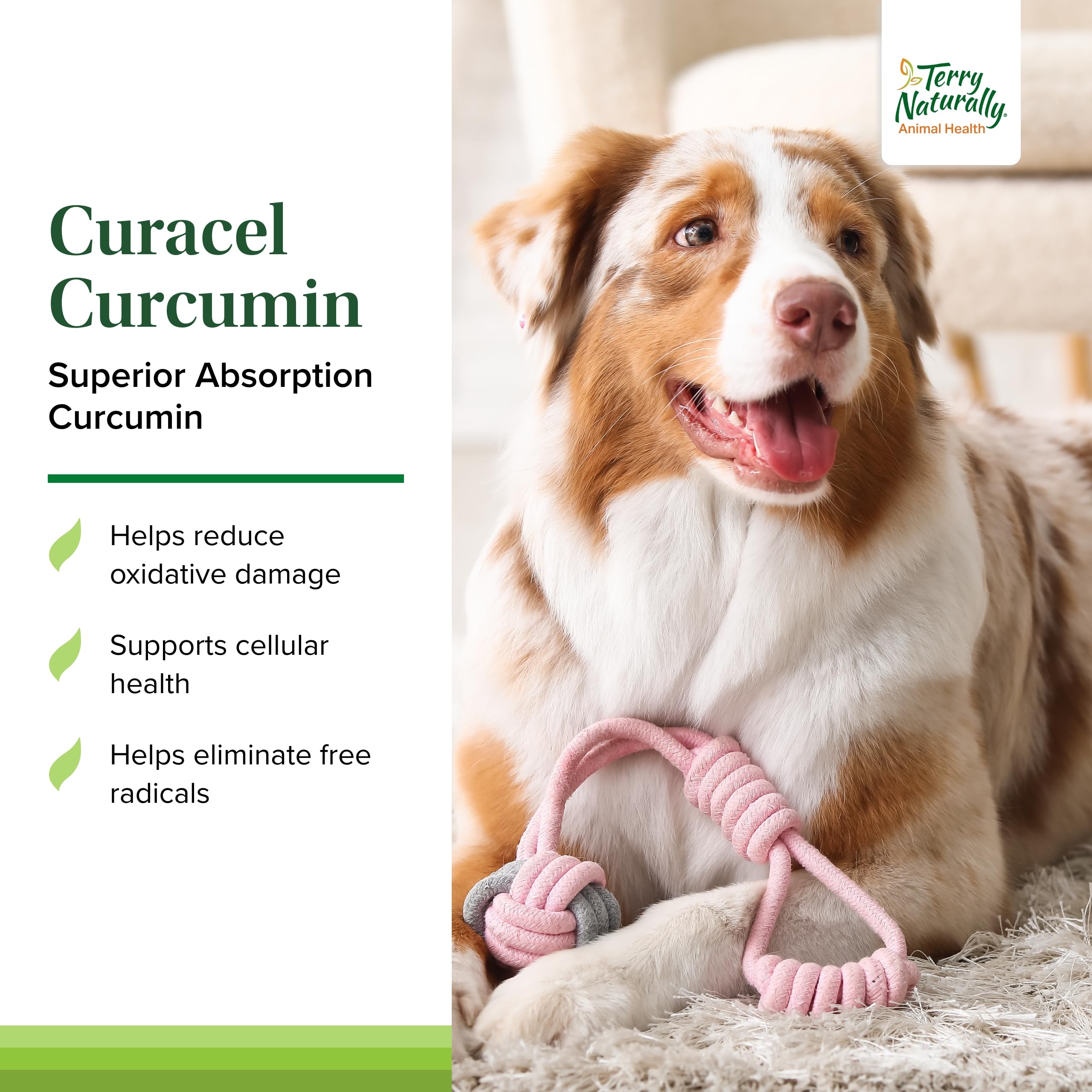 Terry Naturally Animal Health Curacel Curcumin - 60 Softgels - Optimal Cellular Support - Canine Only - 60 Servings