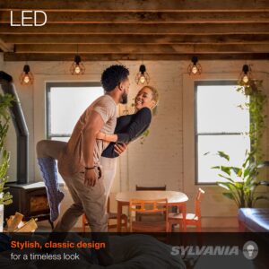 SYLVANIA LED Vintage A19 Light Bulb, 60W Equivalent Efficient 6.5W, 13 Year, Dimmable, 650 Lumens, Amber Glow - 1 Pack (75349)