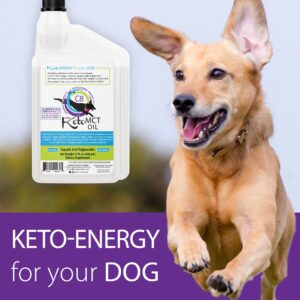 C8 MCT Oil Keto Friendly Sourced from Coconut Oil for Dogs - Human Grade, 32 oz, Developed in USA by PhD Nutrition