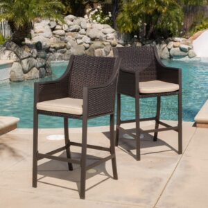 Christopher Knight Home Riga Bar Stools, 2-Pcs Set, Multibrown