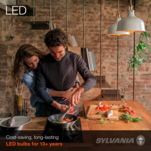 SYLVANIA LED Vintage A19 Light Bulb, 60W Equivalent Efficient 6.5W, 13 Year, Dimmable, 650 Lumens, Amber Glow - 1 Pack (75349)