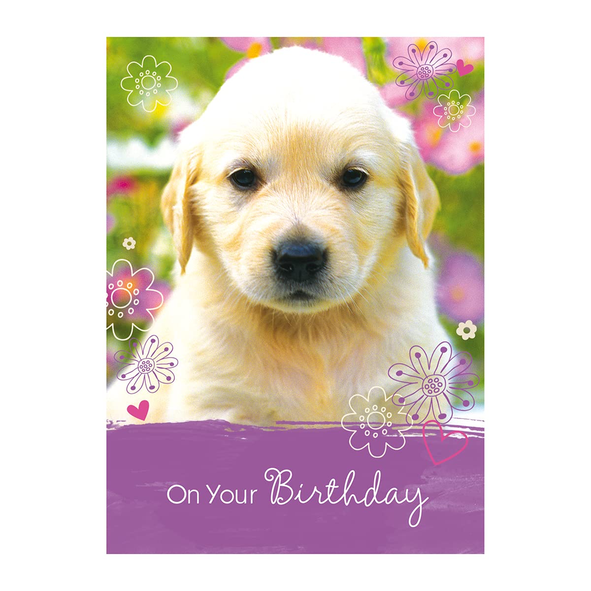 Paper Craft IG98639-RE Religious Birthday Card Assortment Box Set with Envelopes, 12 Cards, 4.75'' W x 6.5'' H, Cupcake, Waterfall, Puppy, and Floral Photography