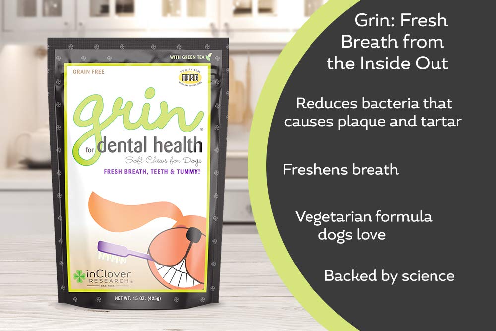 In Clover Natural Dental Treat Chew for Dogs, Grin, Fresh Breath Dog Chew Treat with Prebiotics, Fresh Breath Tartar Control Chew for Dogs, Daily Chew Supplement for Dogs Supports Dog Gums and Teeth