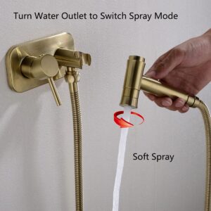 TRUSTMI Bathroom Concealed Hot and Cold Bidet Spray Set Hand Held Sprayer Shattaf Warm Water Toilet Attachment, Brushed Gold