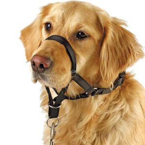 barkless soft dog head collar, no pull training tool for small medium large dogs on walks, gentle training collar and control for heavy pullers, includes a training guide