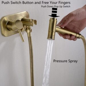 TRUSTMI Bathroom Concealed Hot and Cold Bidet Spray Set Hand Held Sprayer Shattaf Warm Water Toilet Attachment, Brushed Gold