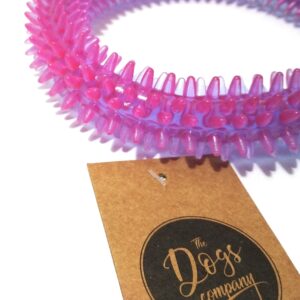 The Dogs Company Rubber Dental Puppy Teething Spike Ring Chew Toy, 6 inches, Colour May Vary