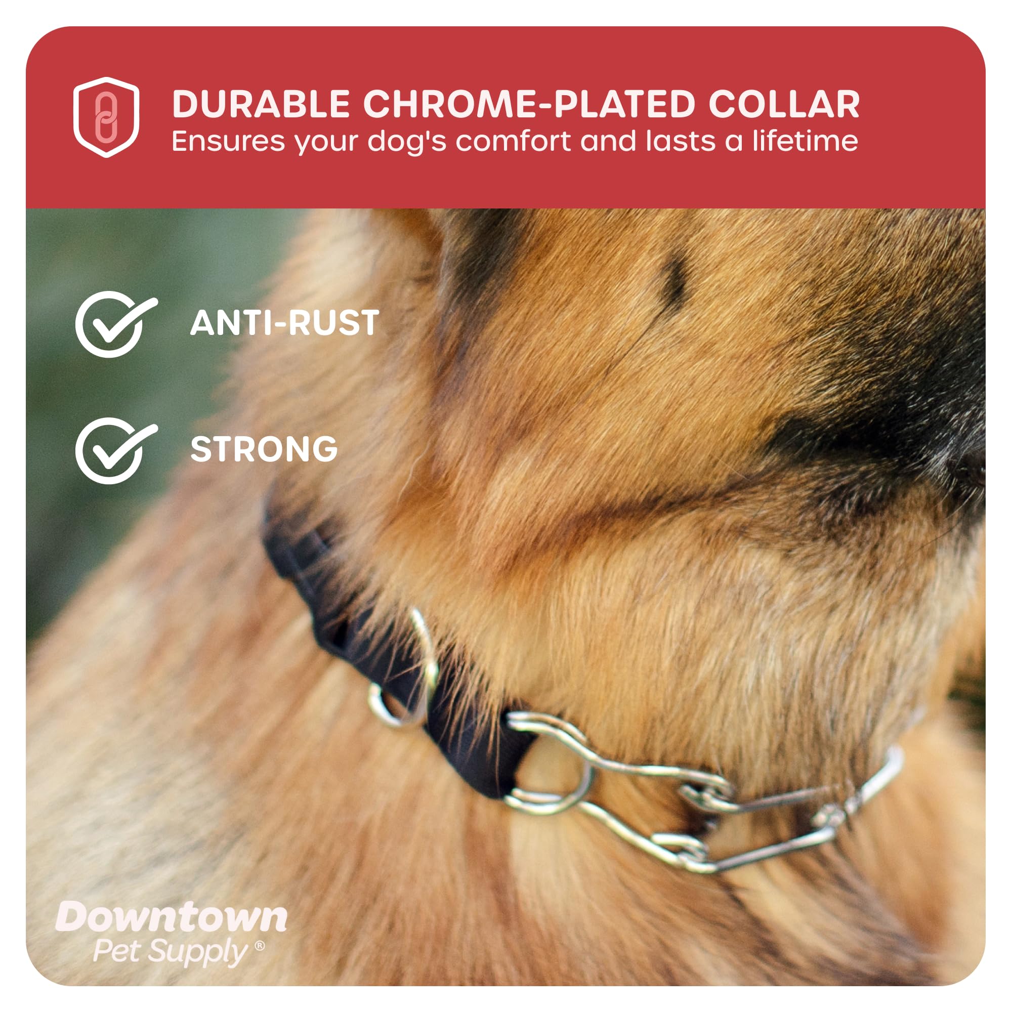 Downtown Pet Supply Chrome Plated/Nylon Prong Collar for Dogs, Medium - Adjustable, No-Choke and No Pull Dog Collar with Removable Links - Pinch Collar for Dogs 20-40 lbs and 20" Neck Width