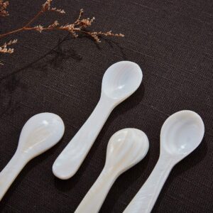 DUEBEL Set of 10 White Mother of Pearl 3.55′′ Caviar Spoons for Caviar, Egg, Coffee Serving (White, 9cmx2.4cm)