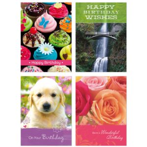 Paper Craft IG98639-RE Religious Birthday Card Assortment Box Set with Envelopes, 12 Cards, 4.75'' W x 6.5'' H, Cupcake, Waterfall, Puppy, and Floral Photography