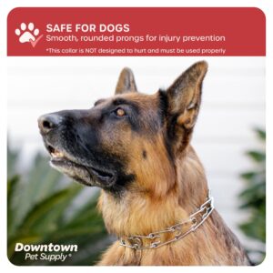 Downtown Pet Supply Chrome Plated/Nylon Prong Collar for Dogs, Medium - Adjustable, No-Choke and No Pull Dog Collar with Removable Links - Pinch Collar for Dogs 20-40 lbs and 20" Neck Width