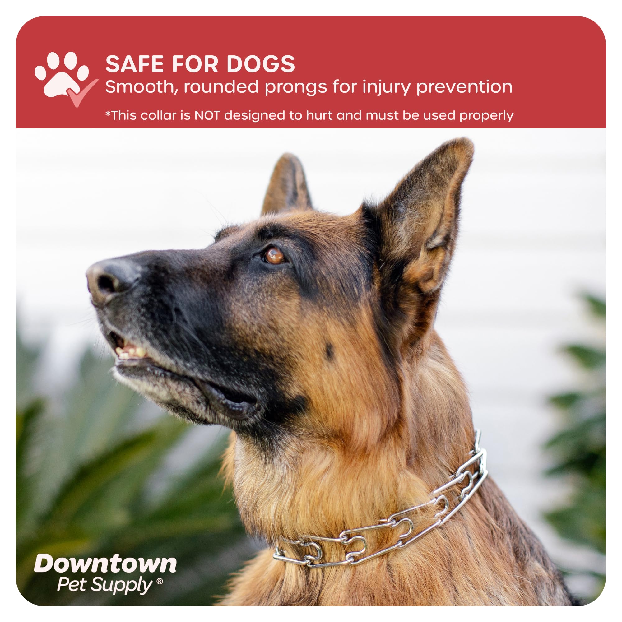 Downtown Pet Supply Chrome Plated/Nylon Prong Collar for Dogs, Medium - Adjustable, No-Choke and No Pull Dog Collar with Removable Links - Pinch Collar for Dogs 20-40 lbs and 20" Neck Width