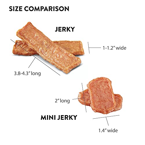 Dogswell Jerky Skin and Coat – Mini Salmon Jerky Dog Treats with Dog Skin & Coat Support (4 oz. Salmon)