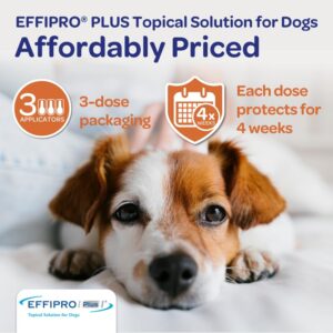 Virbac Effipro Plus Topical Solution for Dogs - Dog Flea and Tick Treatment for Small Dogs (5-22.9lbs), 3 Doses, Waterproof Topical Prevention