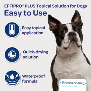 Virbac Effipro Plus Topical Solution for Dogs - Dog Flea and Tick Treatment for Small Dogs (5-22.9lbs), 3 Doses, Waterproof Topical Prevention