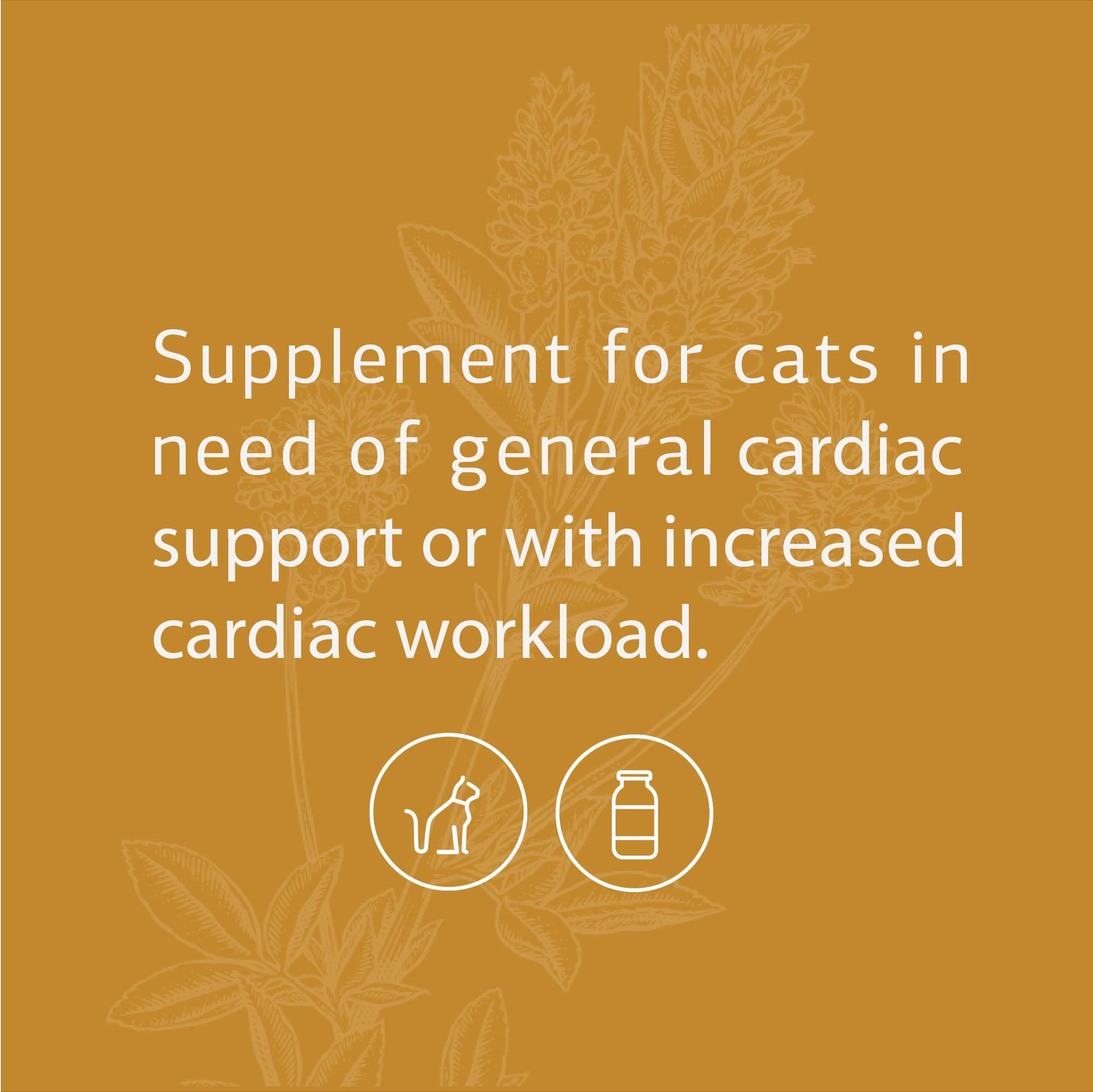 Standard Process Feline Cardiac Support - Cardiovascular System Supplement for Felines - Dietary Cat Supplement to Support Heart Health & Function - Nutritional Tablet Supplement - 90 Tablets