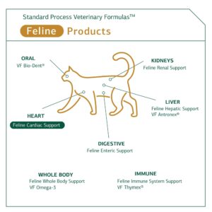 Standard Process Feline Cardiac Support - Cardiovascular System Supplement for Felines - Dietary Cat Supplement to Support Heart Health & Function - Nutritional Tablet Supplement - 90 Tablets