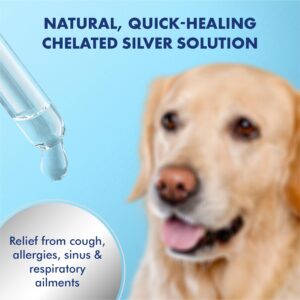 PetSilver Immune Support - Chelated Silver Formula - Promotes Respiratory Health in Cats & Dogs - Sinus & Kennel Cough Treatment - Natural Antibiotic - Allergy Relief - Easy-to-Use Dropper - 2 fl oz