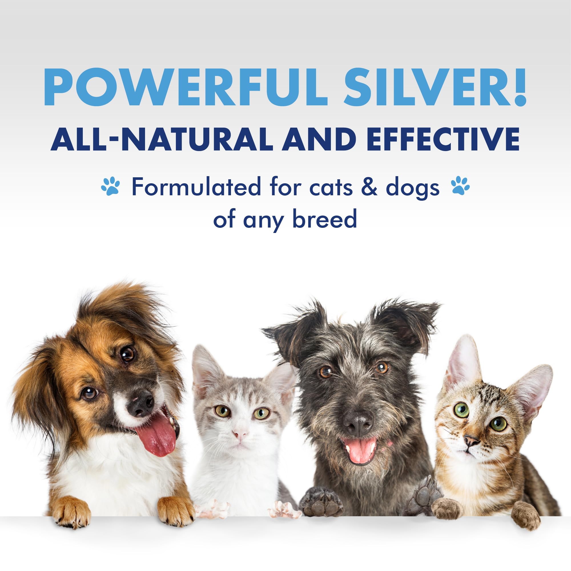 PetSilver Immune Support - Chelated Silver Formula - Promotes Respiratory Health in Cats & Dogs - Sinus & Kennel Cough Treatment - Natural Antibiotic - Allergy Relief - Easy-to-Use Dropper - 2 fl oz