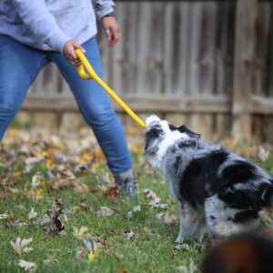 Jersey Dog Co. Ultimate Tug Toy, Tug of War Dog Toy, Made in The USA