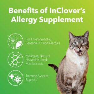 Dog Allergy Relief Supplement by InClover, BioResiliant Treat Powder Supplement for Dogs with Seasonal Allergies, Natural Dog Allergy Support with Turmeric, Mangosteen Helps Maintain Histamine Levels